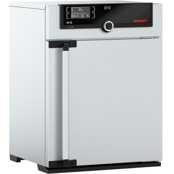 Memmert IN Series [IN55 PLUS-230V] Standard Delivery Incubator 53L/1 ...